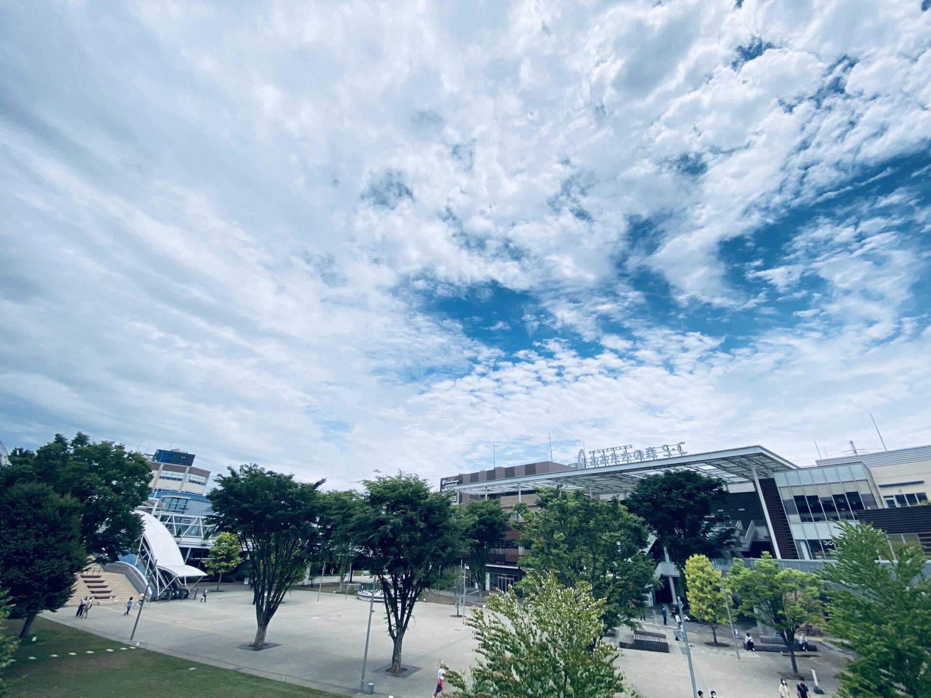 スターバックスコーヒー流山おおたかの森S・C FLAPS店の店舗情報：流山おおたかの森S・C：2店舗目のスターバックス－スターバックス訪問情報
